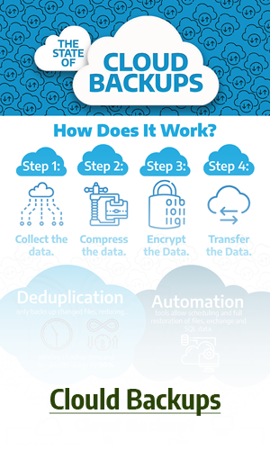 NeoLore Networks NeoLore Infographics - NeoLore Networks